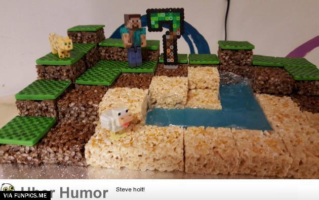 My son had a minecraft themed birthday so I made him this