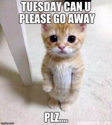 It's only Tuesday meme pictures to resume how I feel at work everyday