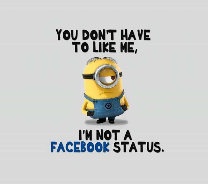 45 funny minion memes to watch at all costs