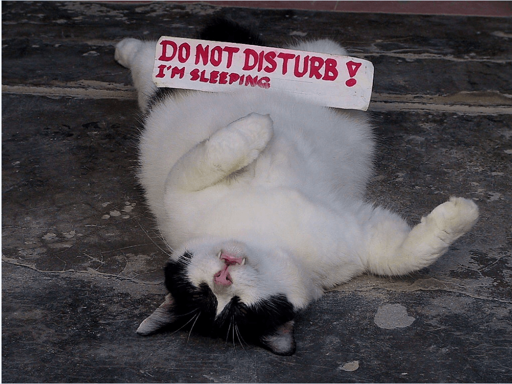 25 funny sleeping pictures to show how awkward you look when dozing off