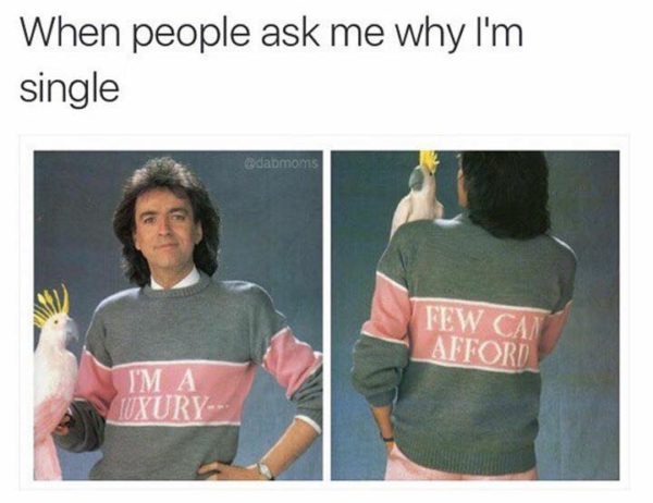 30+ funny memes about being single if you are alone on Valentine's Day
