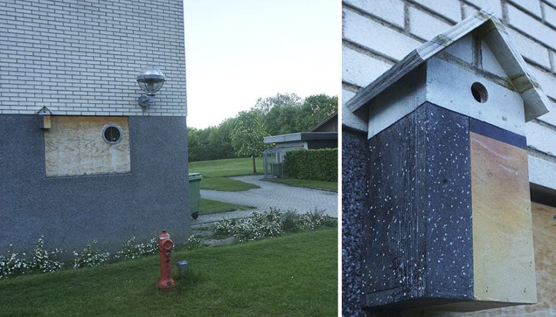 35+ extreme and funky birdhouses for the birds to keep up with the style