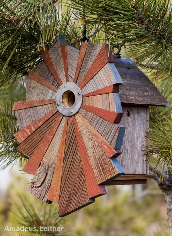 35+ extreme and funky birdhouses for the birds to keep up with the style
