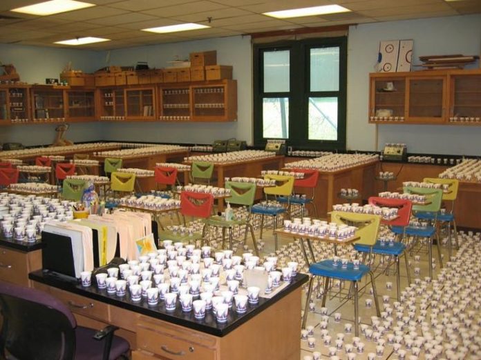 15 effective april fools pranks for students to use in high school