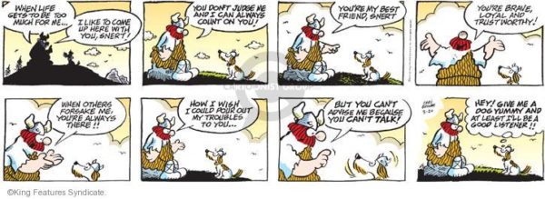 Did you know that hagar's dog is the most funny dog ever?