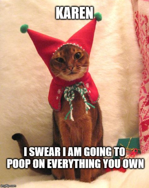 When you see Karen memes everywhere, you know something's not ok