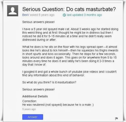 Weird funny questions you should definitely ask on Google and Yahoo [30 ...