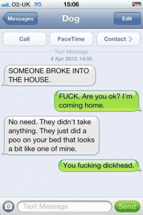 Funny dog texts to owners sent using their tiny little paws