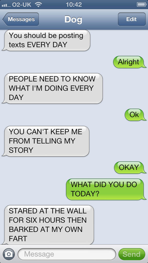 Funny dog texts to owners sent using their tiny little paws