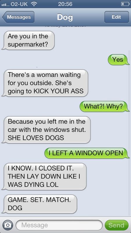 Funny dog texts to owners sent using their tiny little paws
