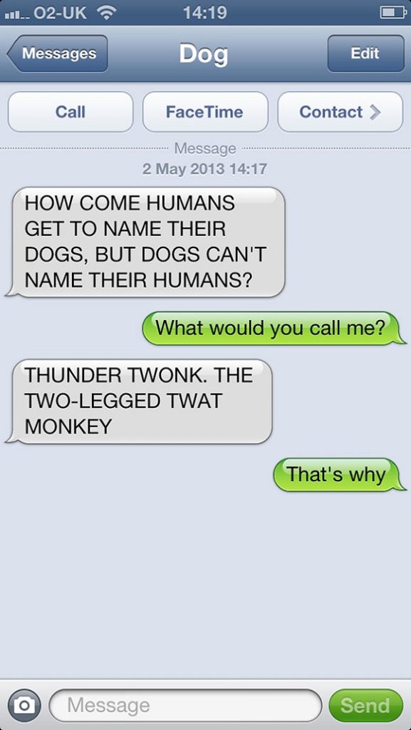 Funny dog texts to owners sent using their tiny little paws