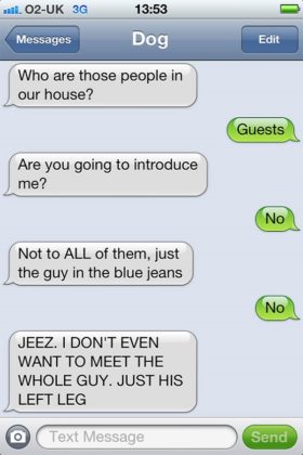 Funny dog texts to owners sent using their tiny little paws