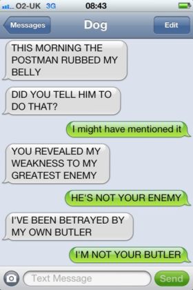 Funny dog texts to owners sent using their tiny little paws