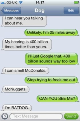 Funny dog texts to owners sent using their tiny little paws