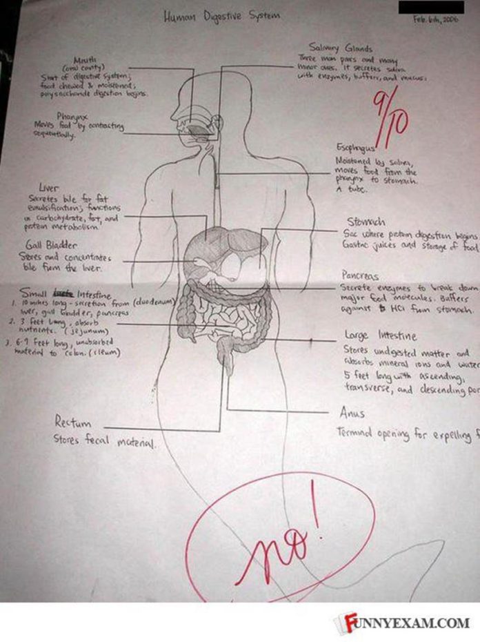 20 funny college test answers which are simply genius