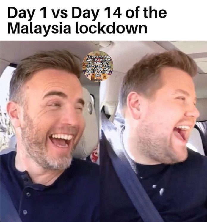 Lockdown memes|Enjoy your long confinement days