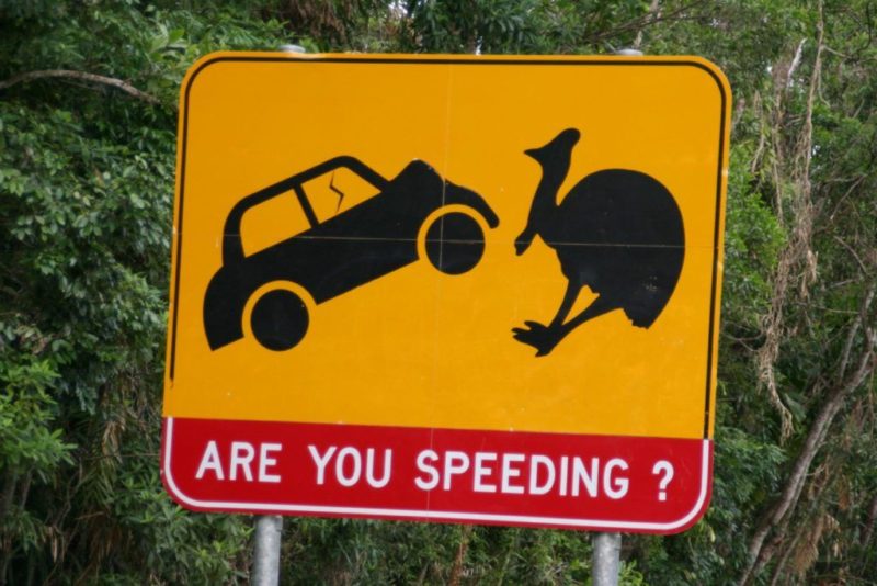 Top 30 funny road signs from around the world