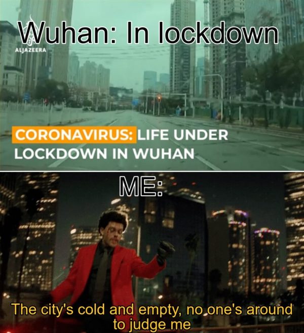 Lockdown memes|Enjoy your long confinement days