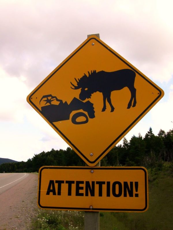 Top 30 funny road signs from around the world