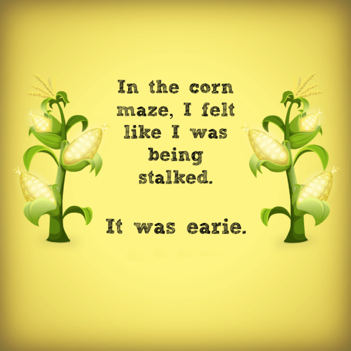 16 corny corn jokes to make you pop nonstop like popcorn