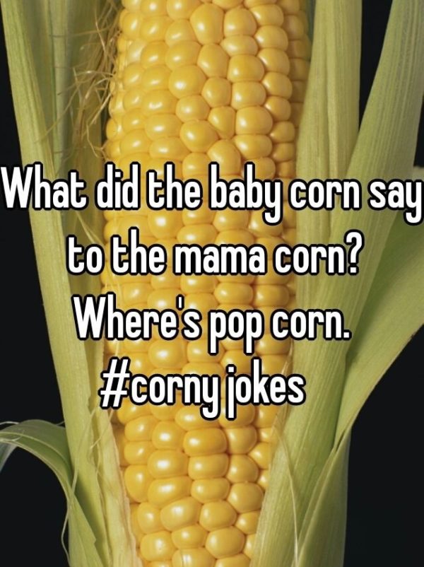 16 corny corn jokes to make you pop nonstop like popcorn