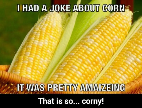 16 corny corn jokes to make you pop nonstop like popcorn