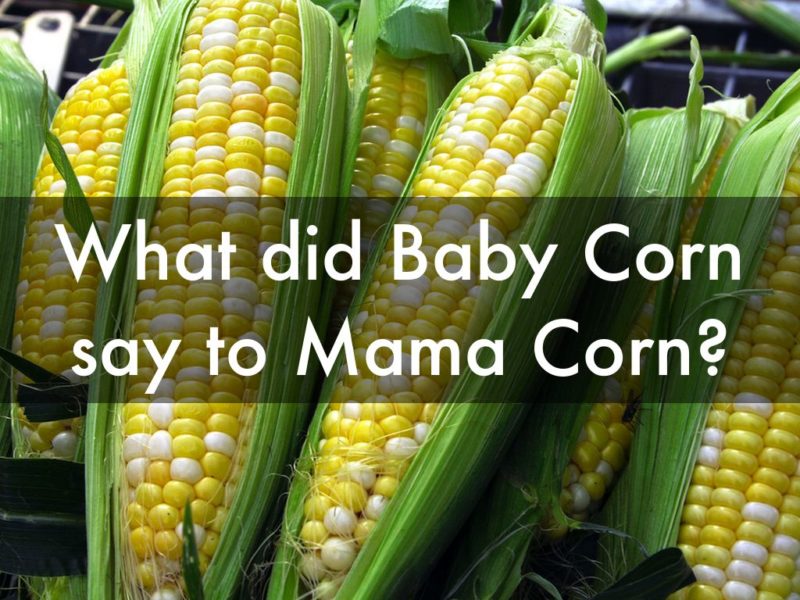 21 Glow Puns and Jokes to make your smile bright all day long