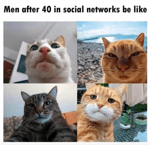Dating after 40 meme pictures which are so hilarious